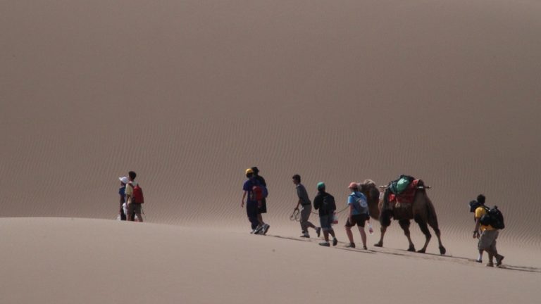 Deep Dive into the History of Adventure Therapy – TERRATRIBES,